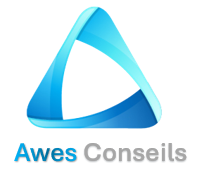 Awes Conseils – Votre guid vers l'excellence